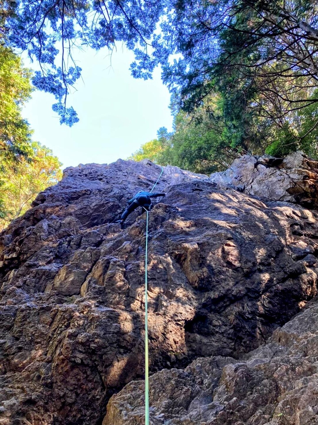 今日も今日とて😊 いつかついて行けるよ... / sai。さんのモーメント | YAMAP / ヤマップ