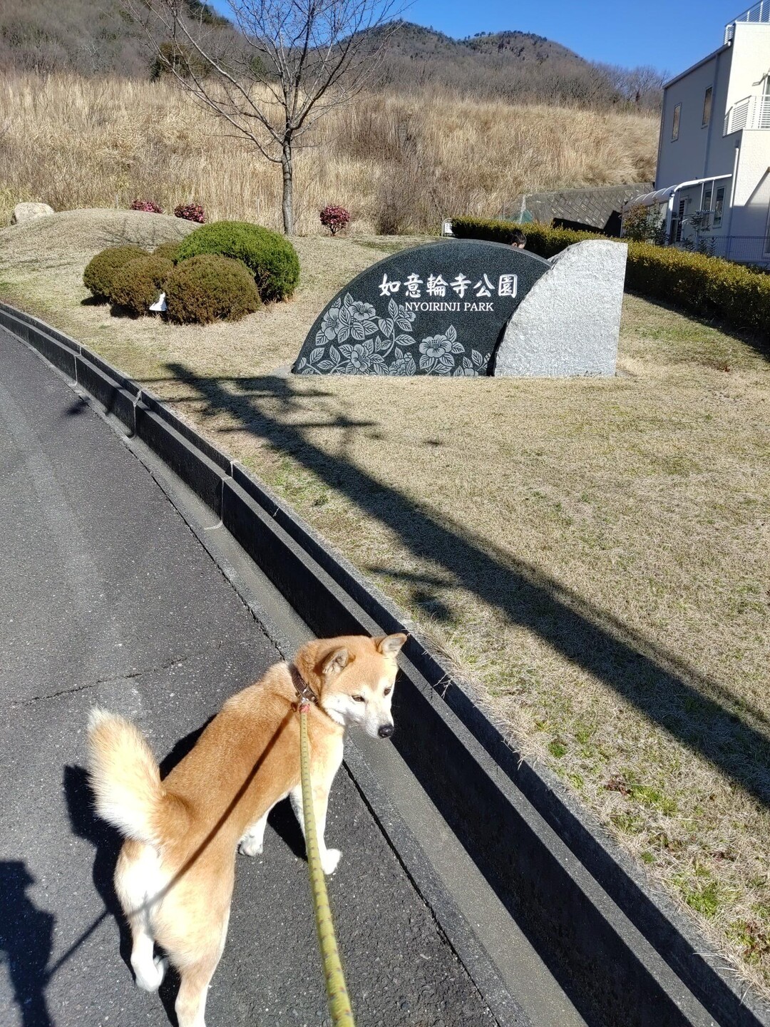 大禿山・城山・端岡山JACK-JACK / JACK-JACK23さんの勝賀山・前山・紅峰の活動データ | YAMAP / ヤマップ