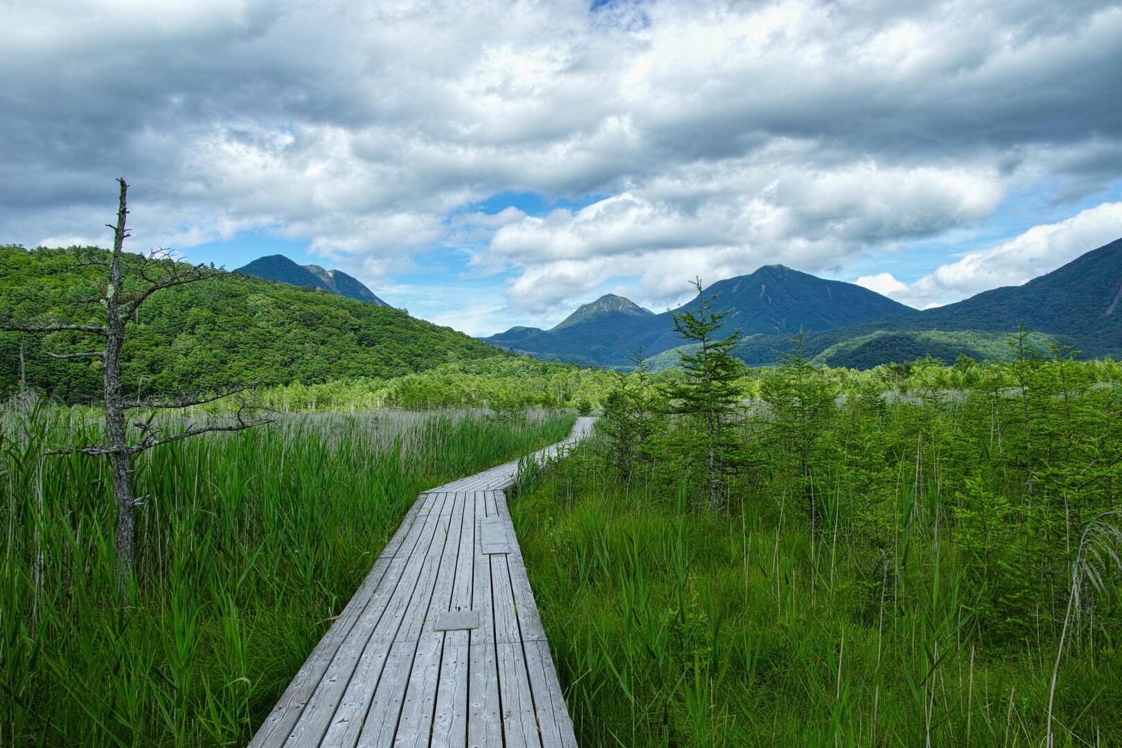 戦場ヶ原・高山 / Windyさんの男体山の活動データ | YAMAP / ヤマップ