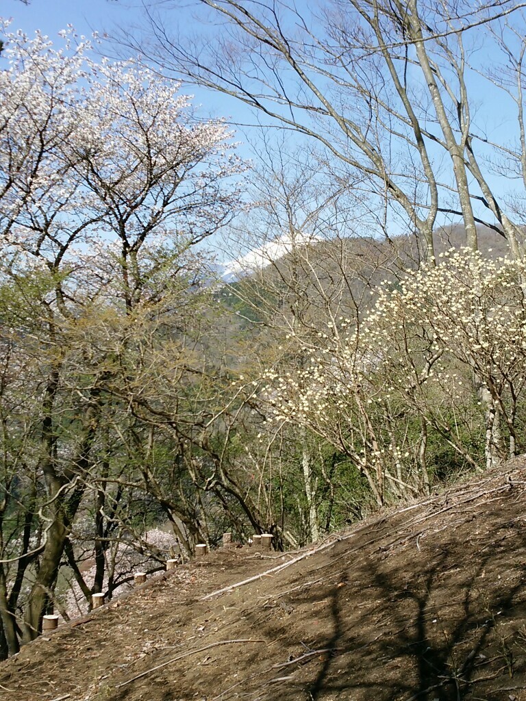 12.6km 浅瀬入口～権現山～屏風岩山～畦ヶ丸 / tamiさんの大室山・畦ヶ丸山・菰釣山の活動データ | YAMAP / ヤマップ