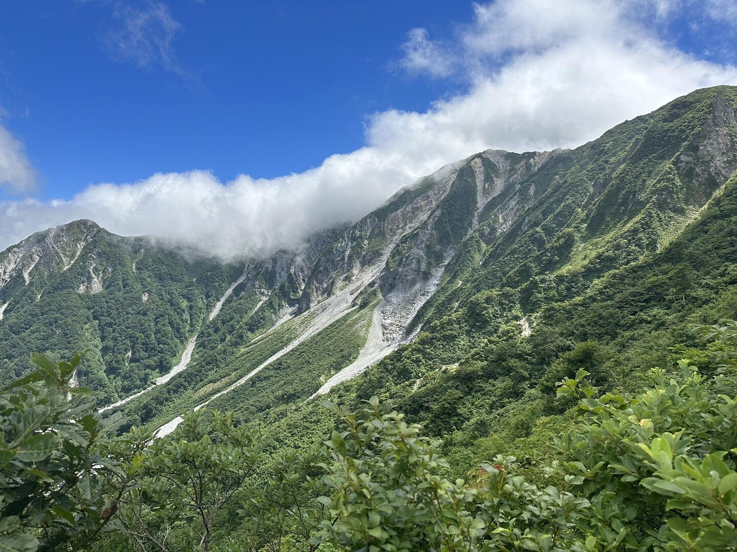大山（弥山） / emiさんの大山・甲ヶ山・野田ヶ山の活動データ | YAMAP / ヤマップ