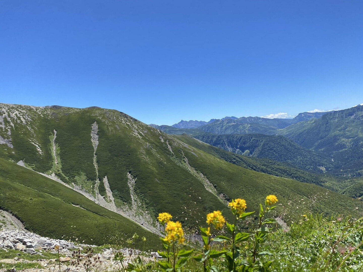 薬師岳 / yakataさんの水晶岳・薬師岳・黒部五郎岳の活動データ | YAMAP / ヤマップ