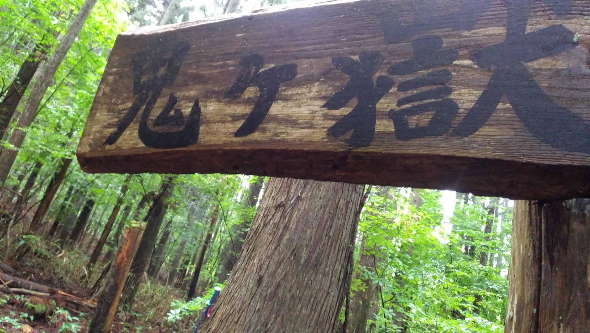 鬼ヶ岳 / opal糸さんの鬼ヶ岳の活動データ | YAMAP / ヤマップ