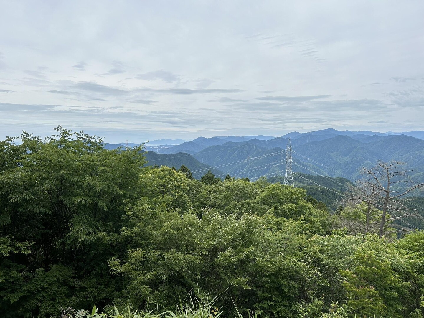 牛頭山 / nobさんの本串山・牛頭山・滝山の活動データ | YAMAP / ヤマップ
