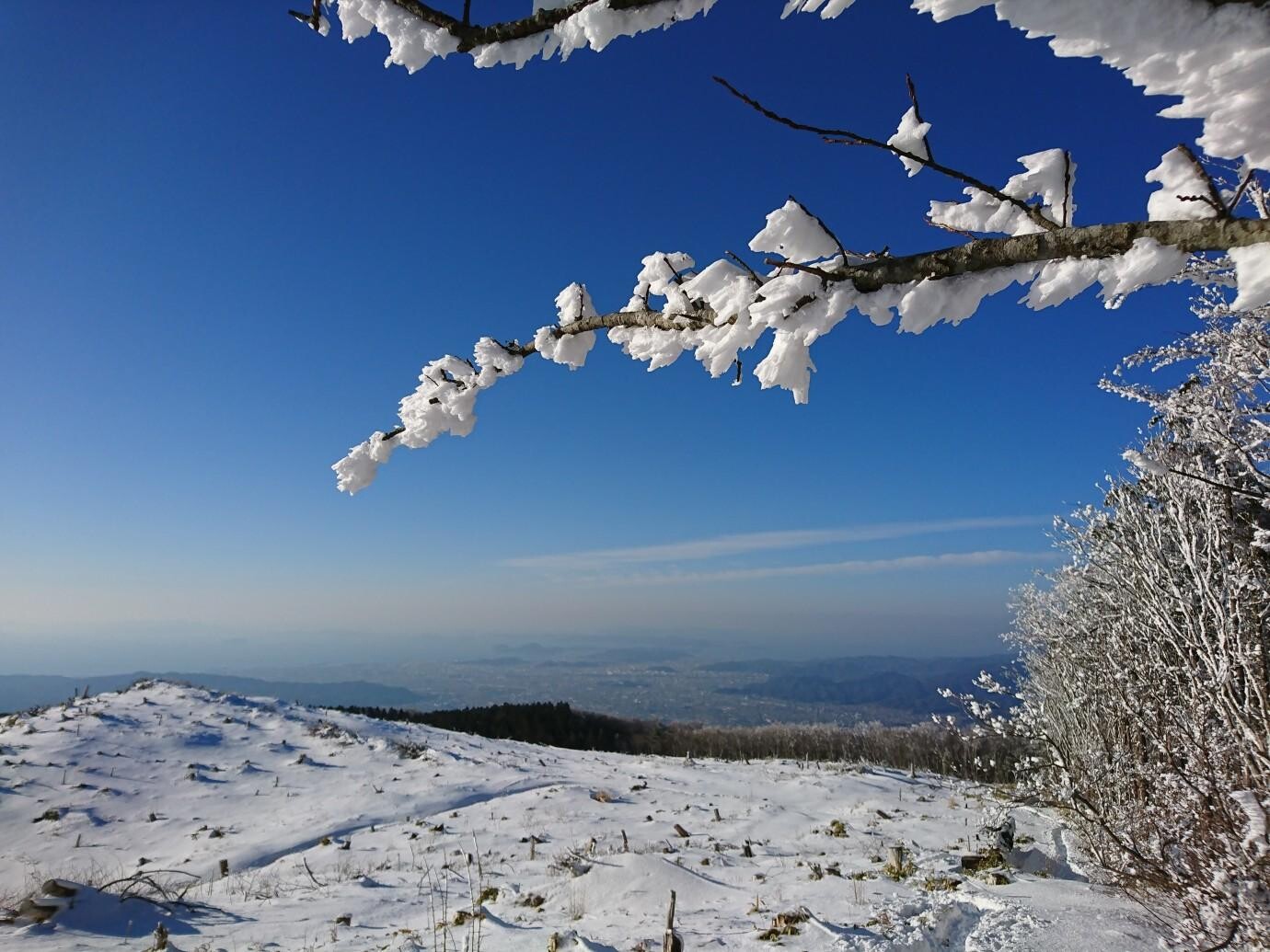 皿ヶ嶺 / yukiさんの皿ヶ嶺・梅ヶ谷山・うなめごの活動データ | YAMAP / ヤマップ