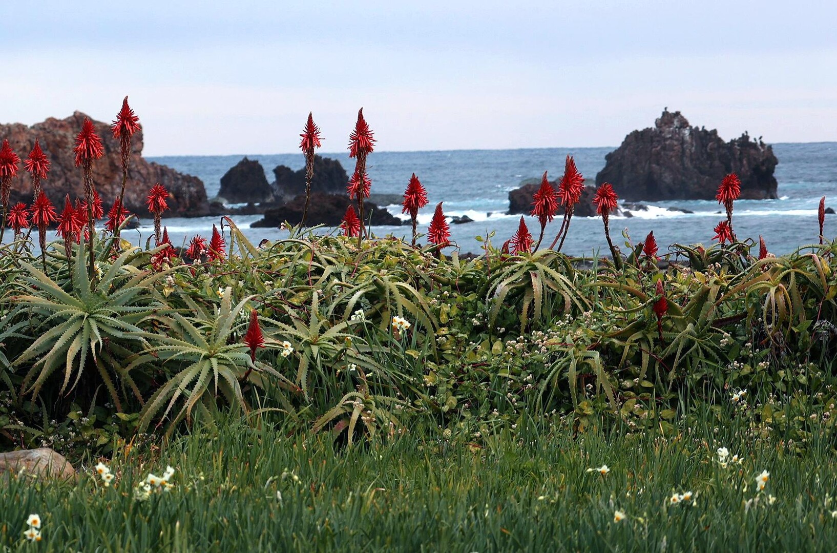 1月12日 下田爪木崎の風景 https... / かにさんさんのモーメント | YAMAP / ヤマップ