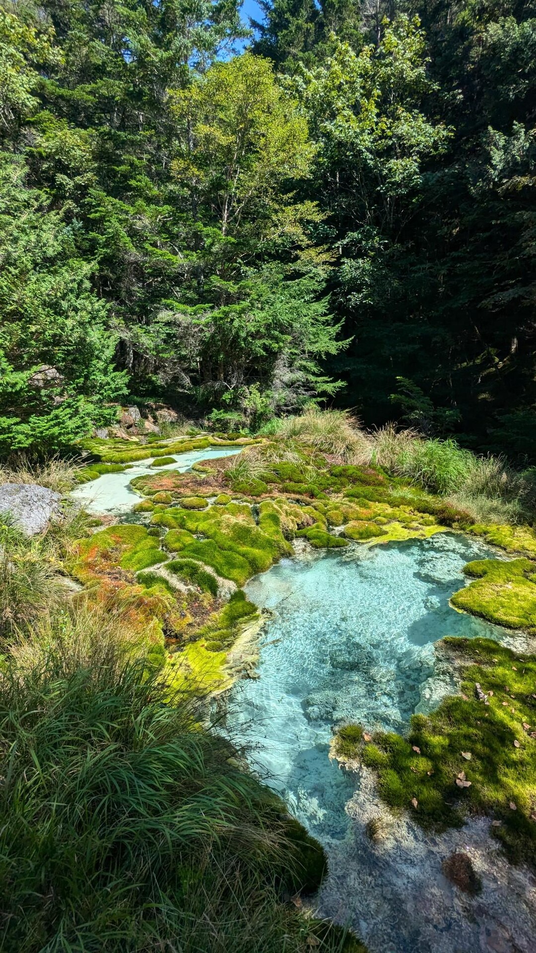 サーバー不具合か？ 唐沢鉱泉より天狗岳周... / Goodsunさんのモーメント | YAMAP / ヤマップ