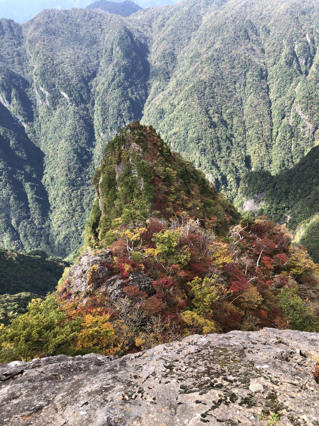 大台ヶ原山（日出ヶ岳）・大蛇グラ / nomさんの大台ヶ原山・日出ヶ岳・大杉谷の活動データ | YAMAP / ヤマップ