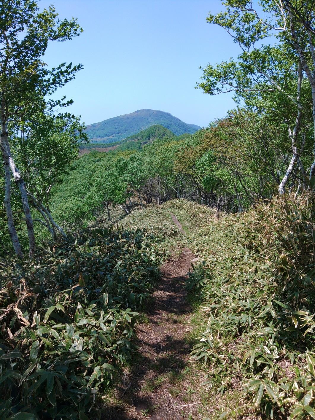 カムイヌプリ・奥カムイヌプリ / はるpalさんの鷲別岳（室蘭岳）・カムイヌプリの活動日記 | YAMAP / ヤマップ
