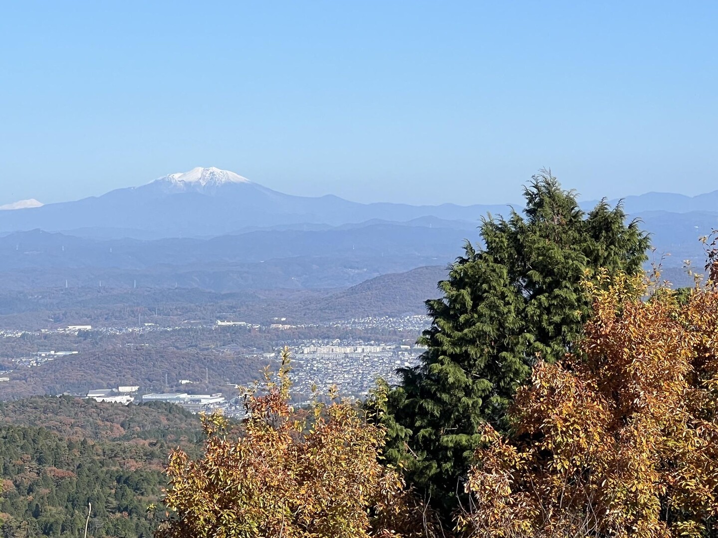 弥勒山〜大谷山 / fusaさんの春日井三山・弥勒山・大谷山・道樹山の活動データ | YAMAP / ヤマップ