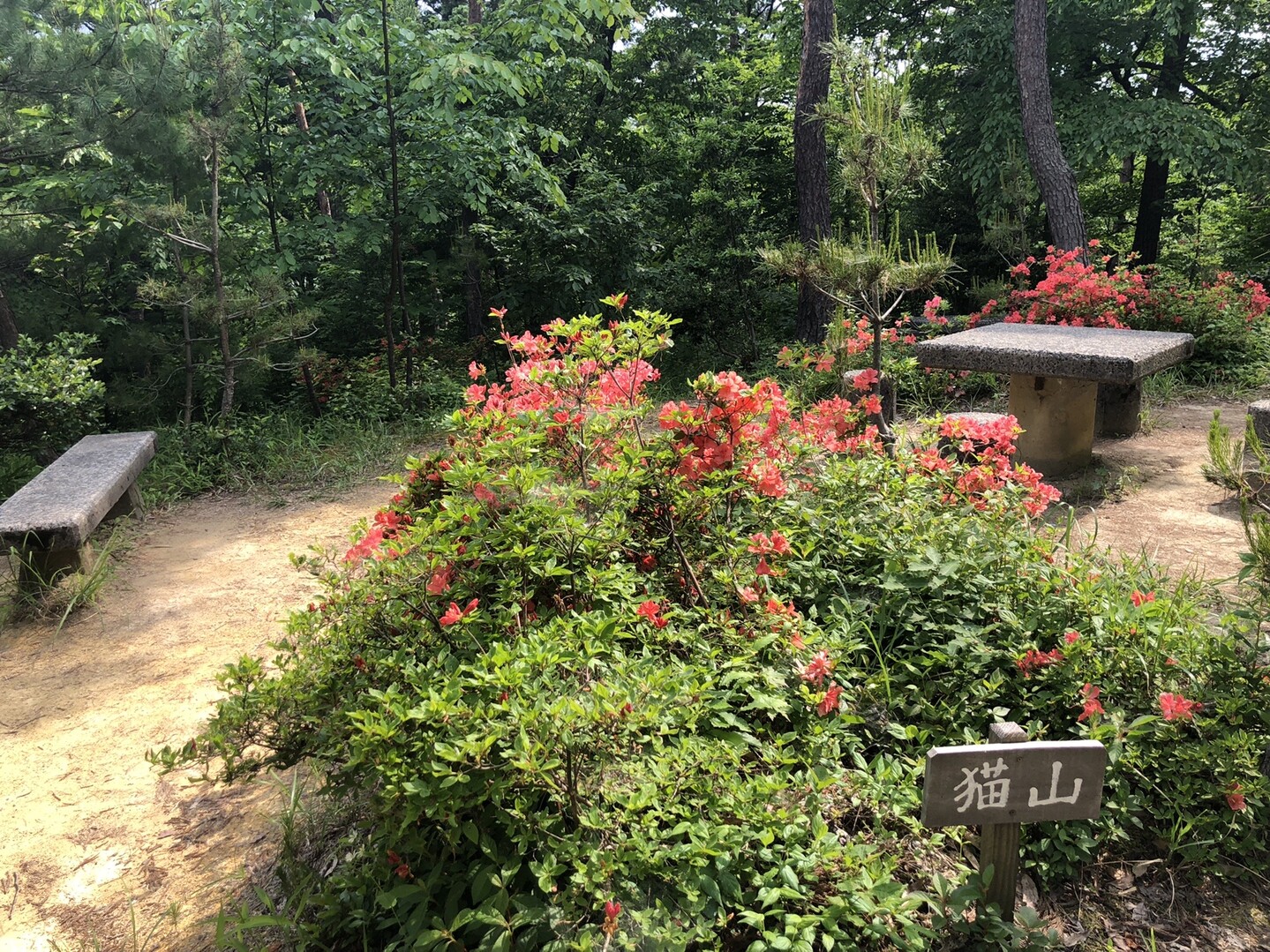 JJさんの投稿したフィールドメモ | YAMAP / ヤマップ