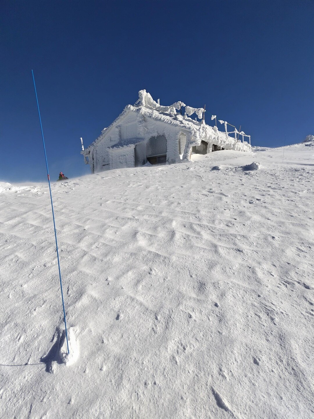 大山（弥山） / mayu--yuさんの大山・甲ヶ山・野田ヶ山の活動データ | YAMAP / ヤマップ