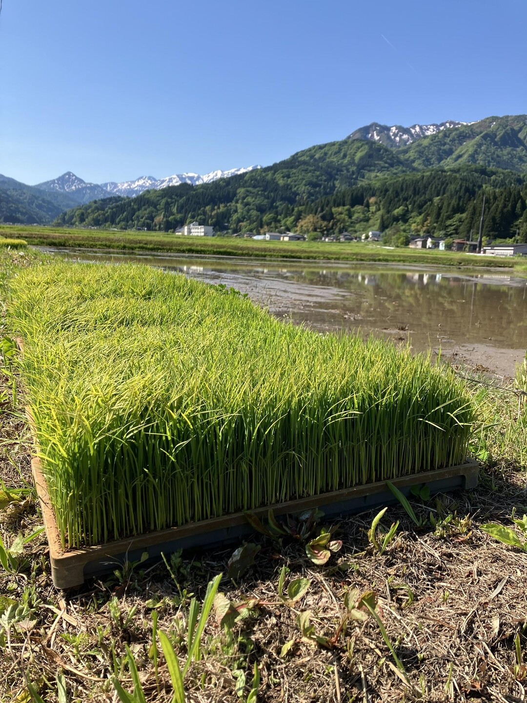 ご近所の山々から少しずつ雪が消えて行く... / t.k.c...さんのモーメント | YAMAP / ヤマップ
