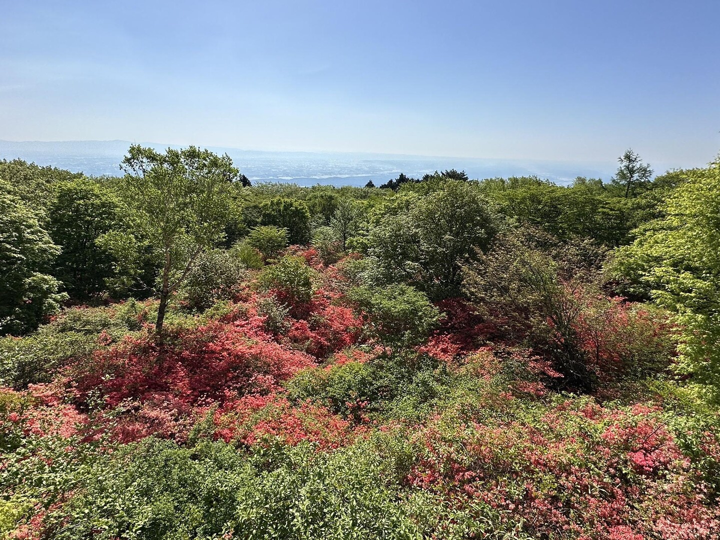 ミツモチ山 釈迦ヶ岳(高原山) / Ricoさんの高原山・釈迦ヶ岳・鶏頂山の活動日記 | YAMAP / ヤマップ