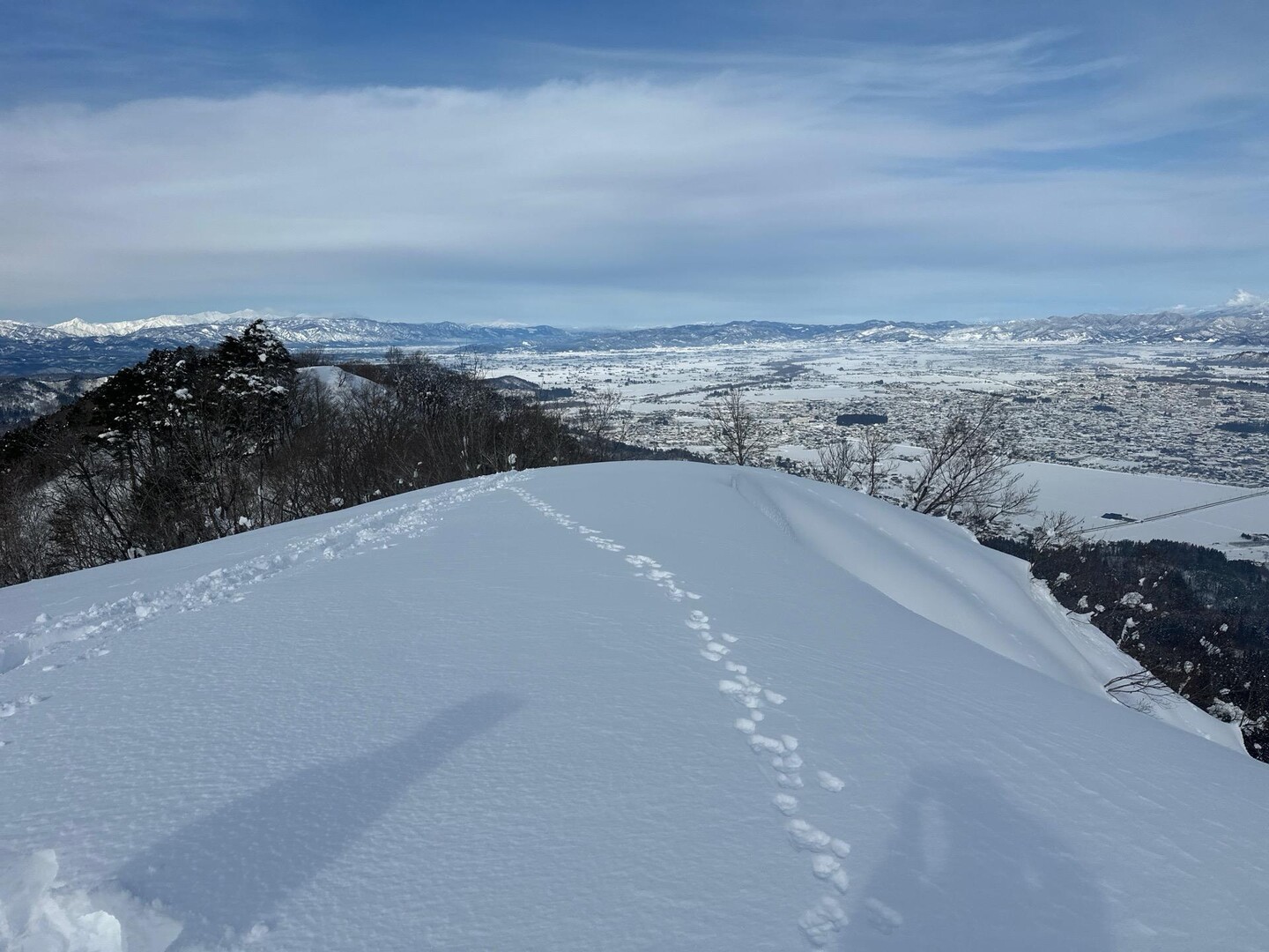 今年初登山『斜平山』途中撤退 / えつくんさんの笹野山（斜平山）・羽山・栃窪山の活動データ | YAMAP / ヤマップ