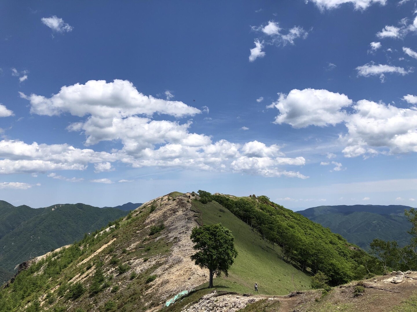 中倉山 / SHさんの社山・半月山の活動データ | YAMAP / ヤマップ