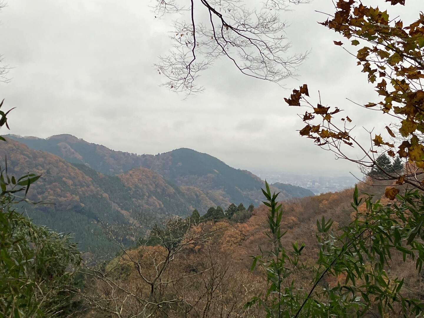 🍃AZUSA 🍁肆🍂さんの投稿したフィールドメモ | YAMAP / ヤマップ