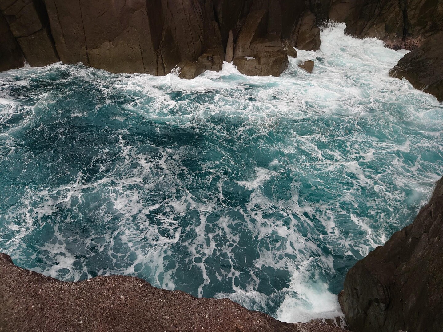 頂山 / dewarsさんの八鬼山・頂山・オハイの活動データ | YAMAP / ヤマップ