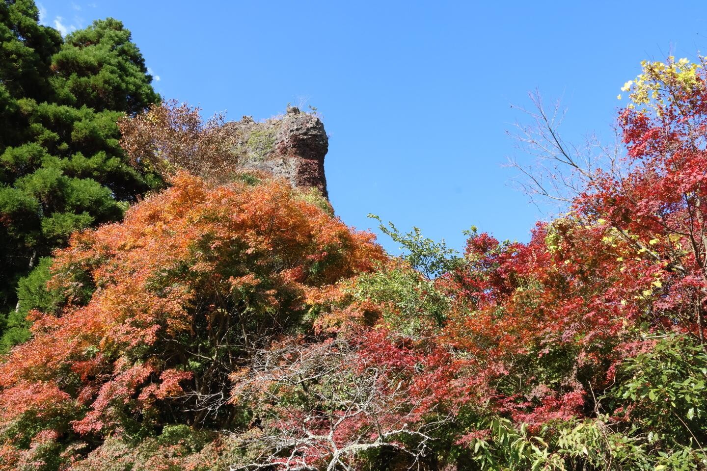 中ノ迫岩稜コース紅葉狩り / miippさんの八面山の活動データ | YAMAP / ヤマップ