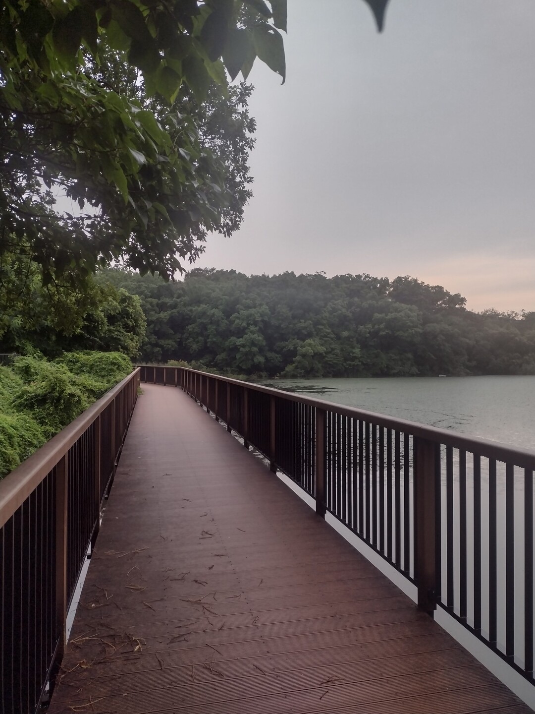 朝ジョグ🏃 今日は涼しくて気持ち良い ... / sin-yaさんのモーメント | YAMAP / ヤマップ