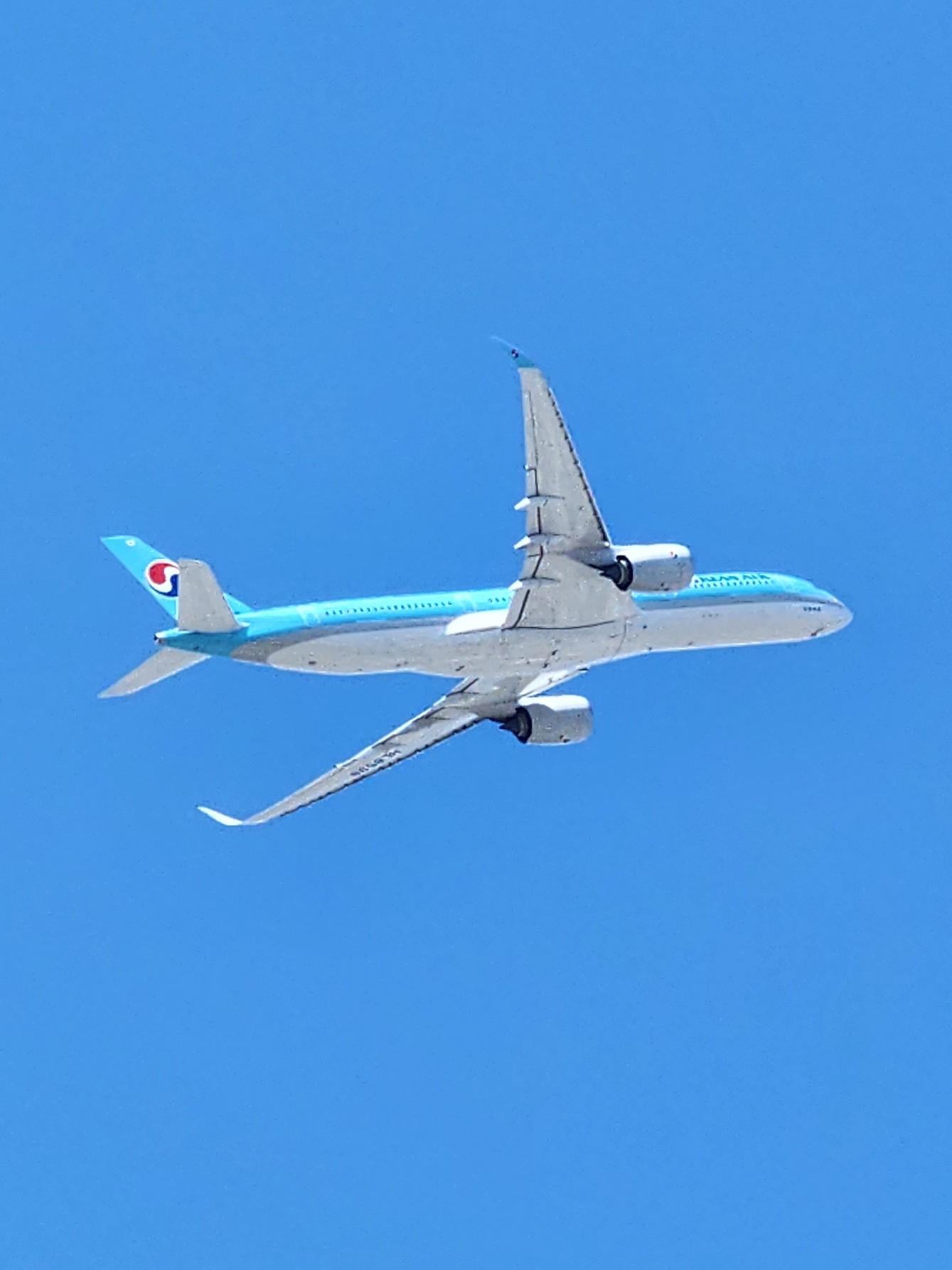 空を見上げえたら青空☀これは空港に🛫午... / Jackさんのモーメント | YAMAP / ヤマップ
