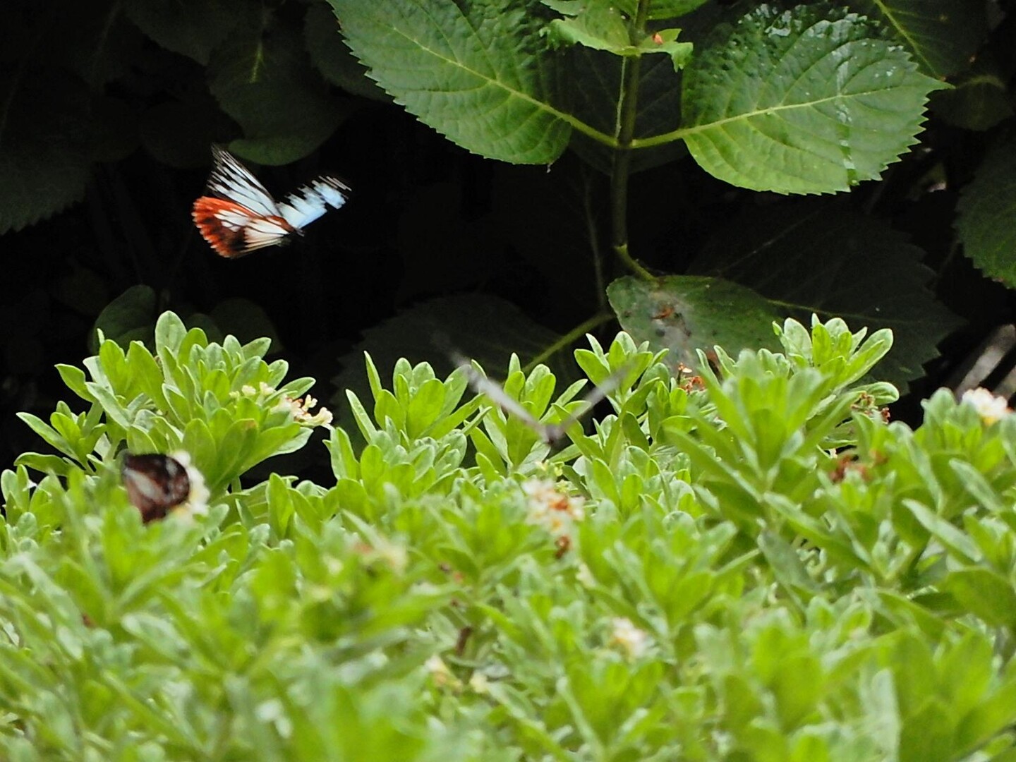 姫島（東国東郡姫島村） / Ryu 🐉さんの矢筈岳・焼野岳・姫島の活動データ | YAMAP / ヤマップ
