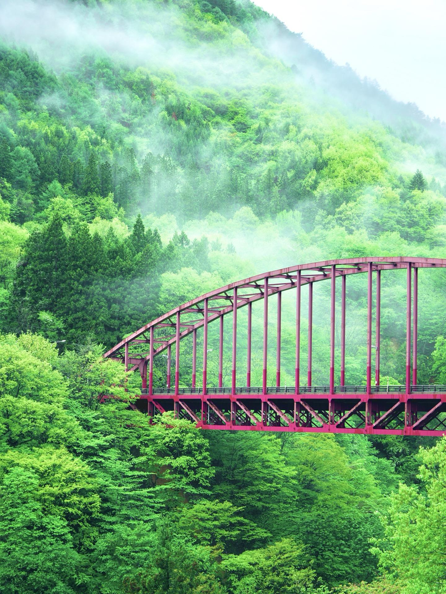 蛍！蛍！！蛍！！！ https://w... / もうひとつの学校 さんのモーメント | YAMAP / ヤマップ