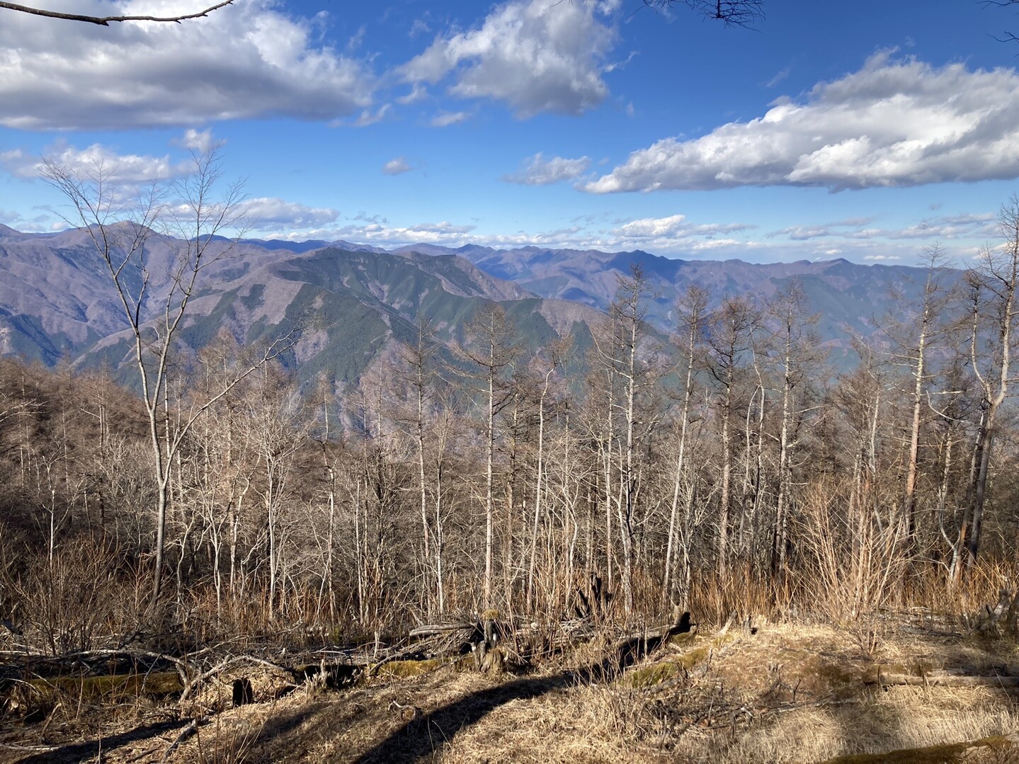 指沢山・惣岳山・御前山 / ayayoさんの大岳山・御岳山・御前山の活動データ | YAMAP / ヤマップ