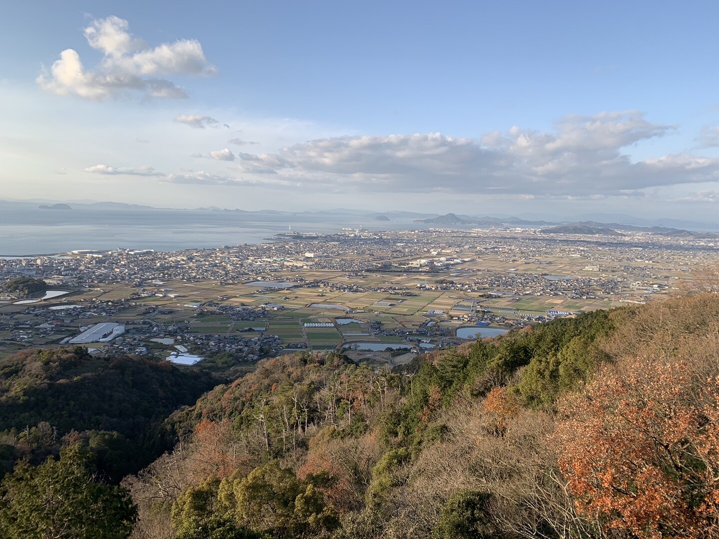 新春初歩き 歯朶谷山、谷上山 / kin_kinさんの谷上山の活動データ | YAMAP / ヤマップ
