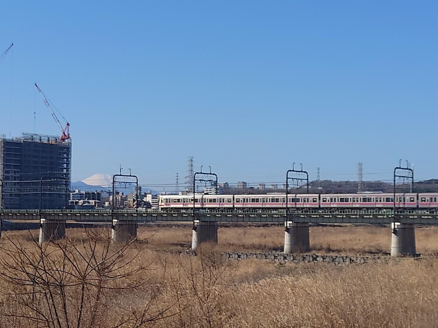 始まりの三角点の三画目～一等三角点「連光寺村」in 天王森の山 / ANCさんの多摩市の活動データ | YAMAP / ヤマップ