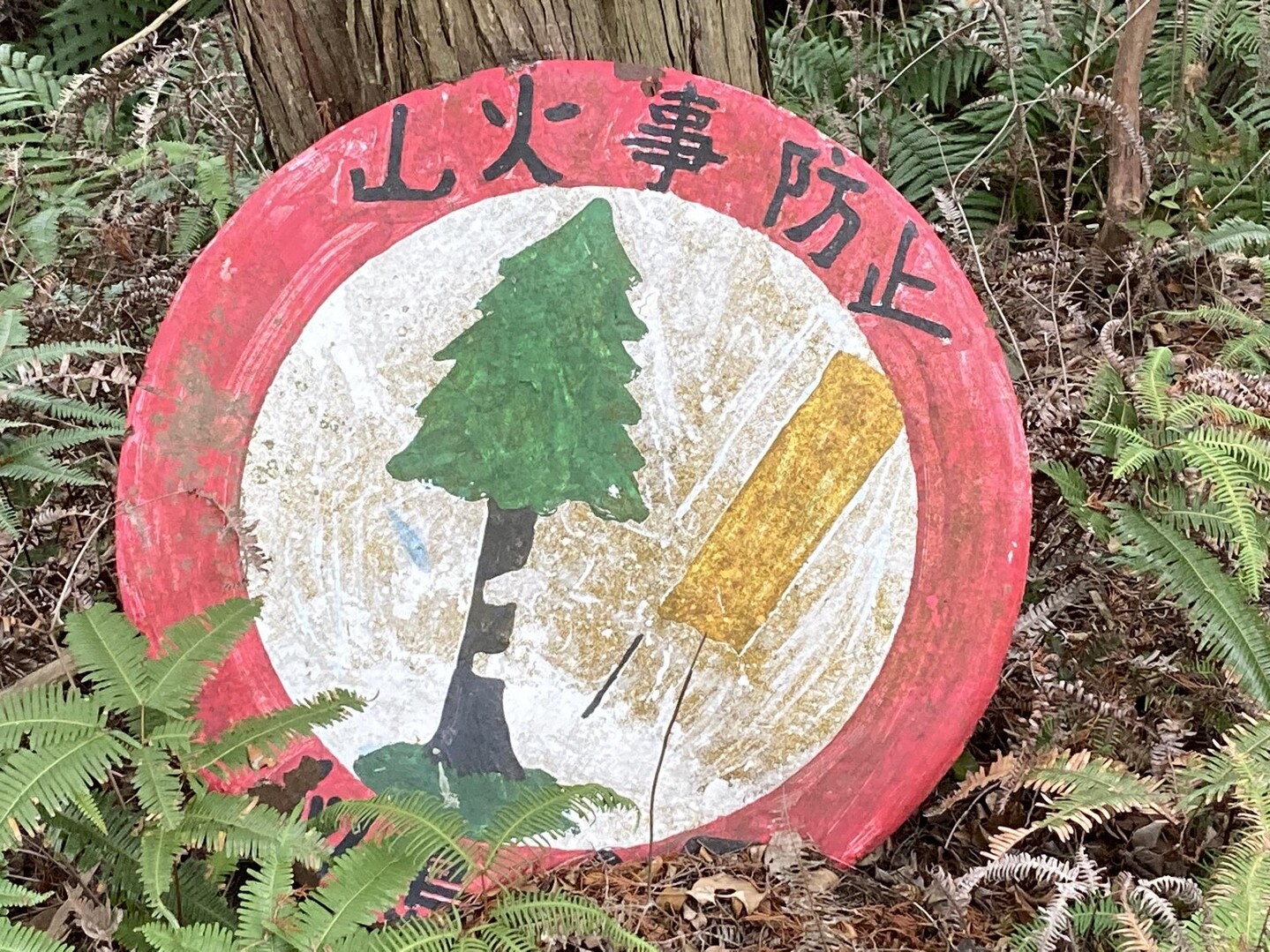 安芸小富士・下高山 / kiyo 096さんの安芸小富士・似島の活動データ | YAMAP / ヤマップ