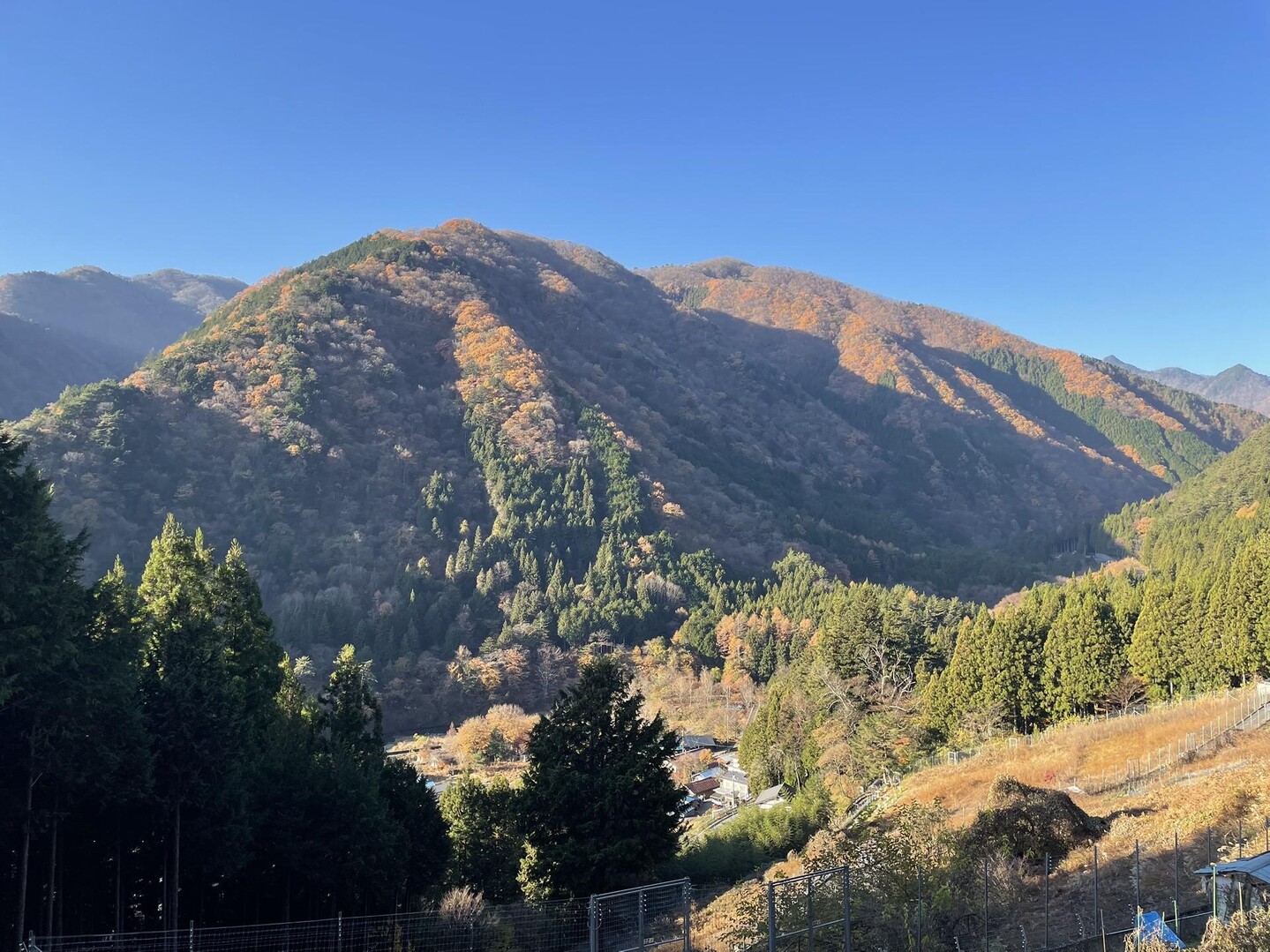 飛龍山 / KAZ-ZUNさんの和名倉山・笠取山・東仙波の活動データ | YAMAP / ヤマップ