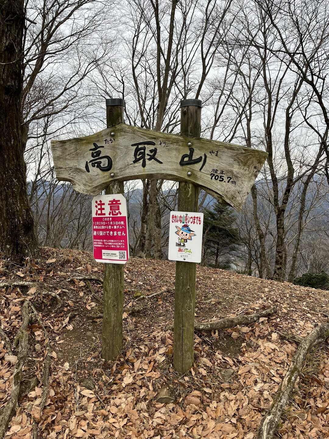 2024年登り始め高取山・仏果山 / @mamoさんの大山の活動データ | YAMAP / ヤマップ