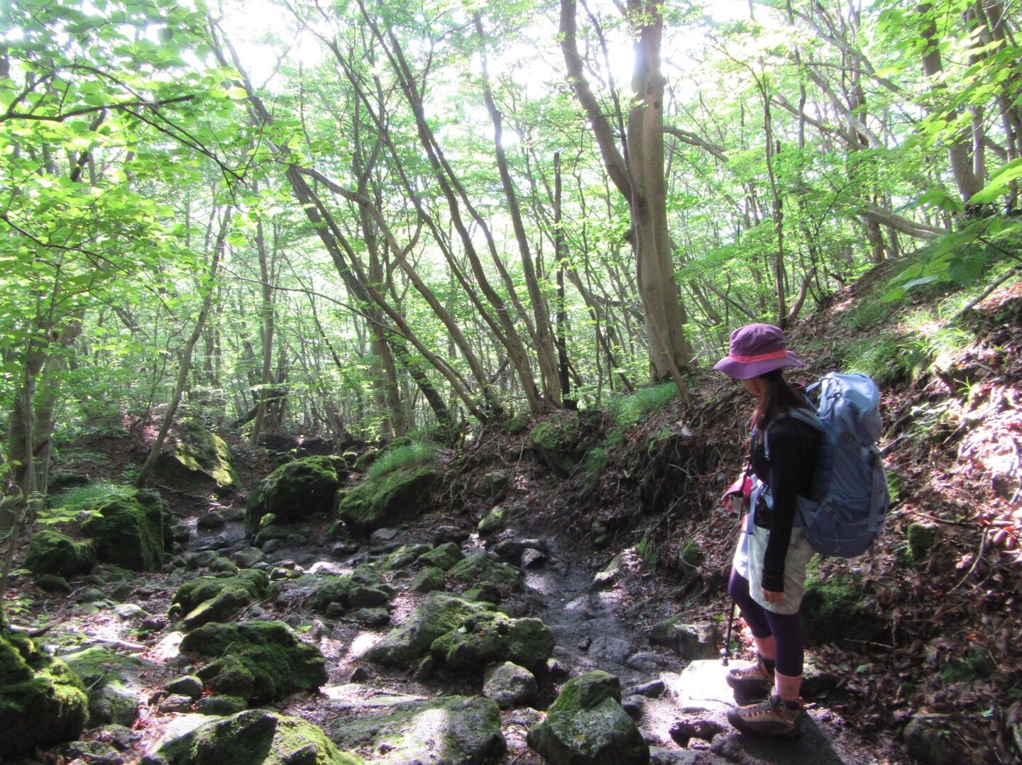 Chihoのページ | YAMAP / ヤマップ