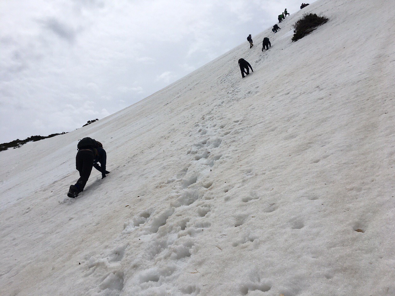這って登る芦別岳新道コース！ / minoワールドさんの芦別岳の活動データ | YAMAP / ヤマップ