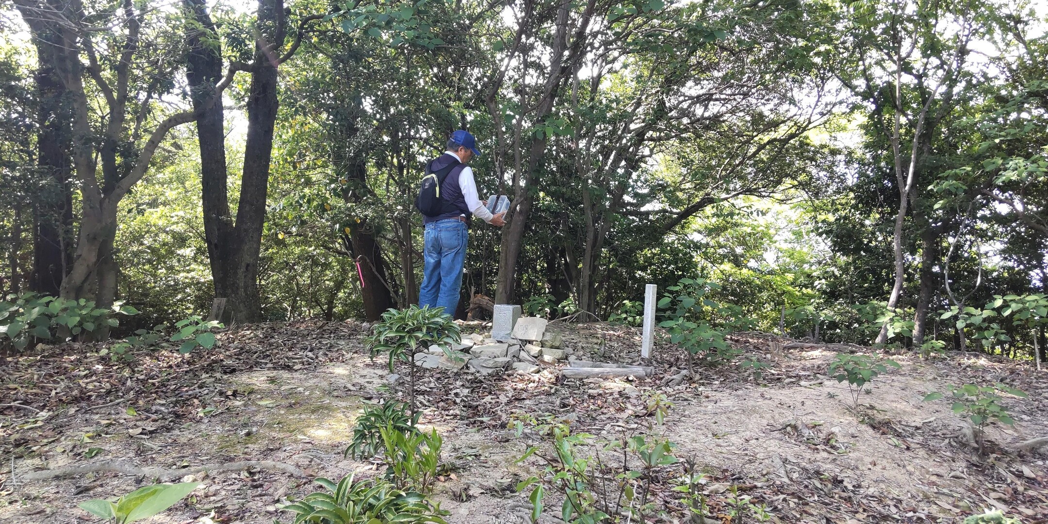 権現山・塚黒山 / koke280さんの天下台山・嫦峨山の活動データ | YAMAP / ヤマップ