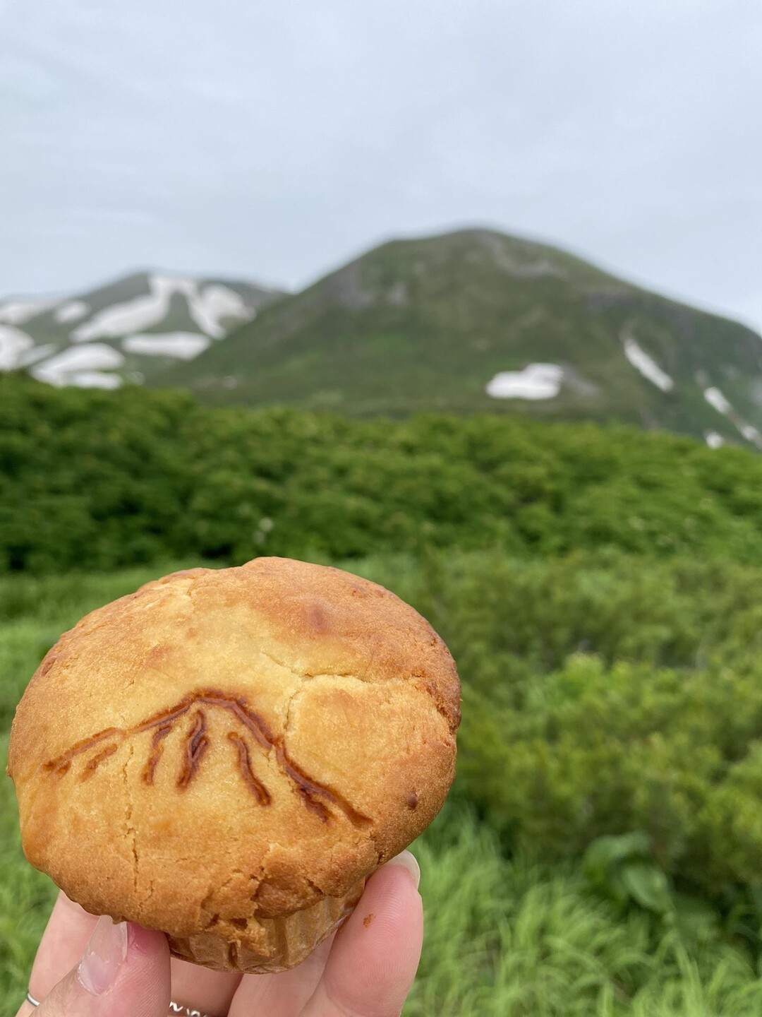 黒岳・北鎮岳・中岳・間宮岳・荒井岳・松田岳・北海岳 / YMさんの大雪山系・旭岳・トムラウシの活動データ | YAMAP / ヤマップ
