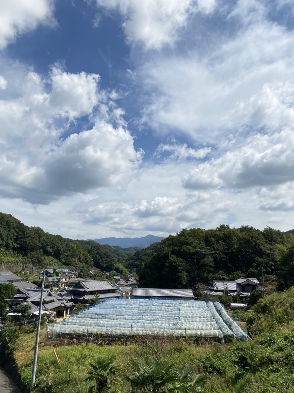 自分なりの我慢走 笑。松山城古町道を目指して。 / tat-ninoさんの松山市（南エリア）の活動日記 | YAMAP / ヤマップ