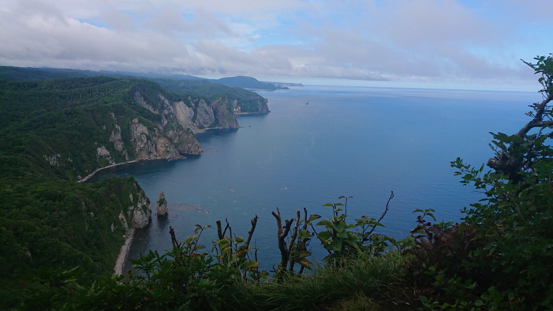 尻場山-2019-09-15 / hirohiroさんの尻場山の活動データ | YAMAP / ヤマップ