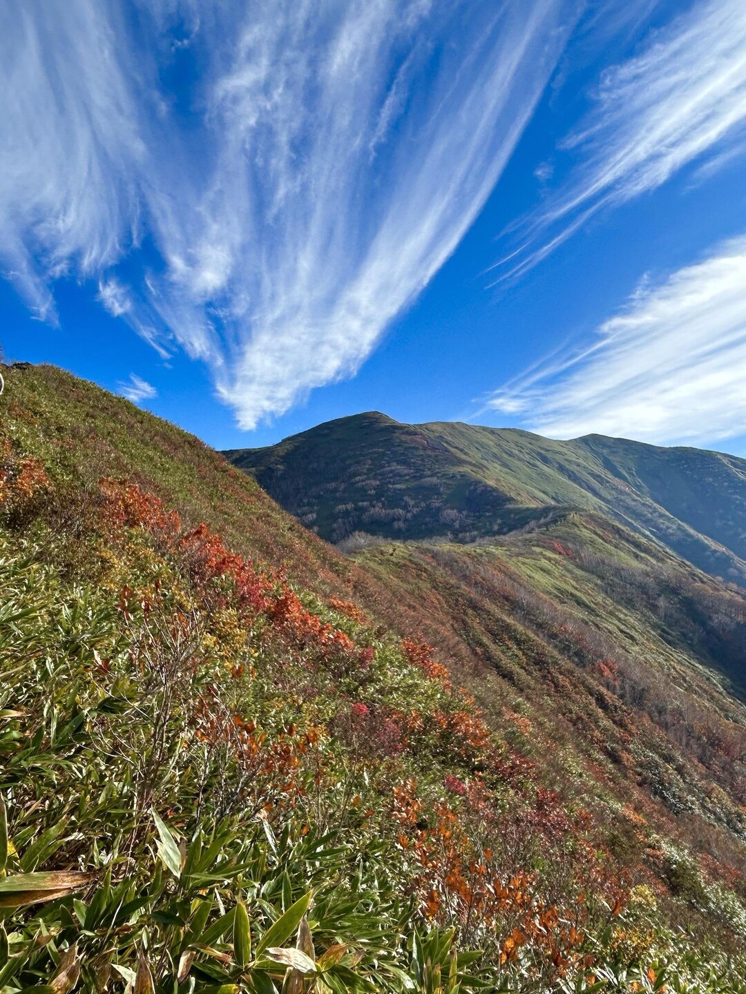 平標山・仙ノ倉山 - 天空の散歩路 / JOJOさんの苗場山・赤倉山・佐武流山の活動データ | YAMAP / ヤマップ