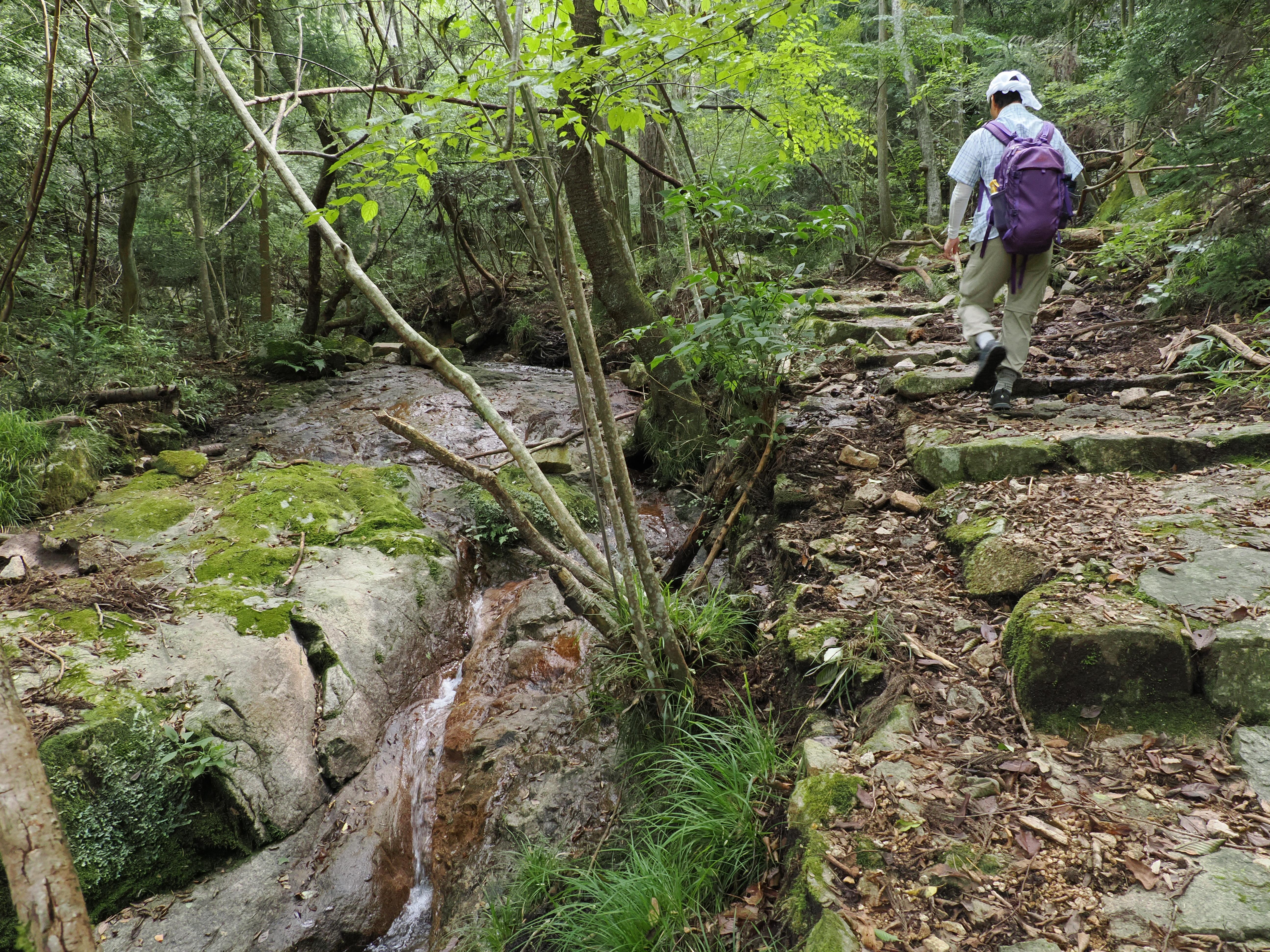 徳川道－穂高湖－アイスロード🦋 / kozza（こざ）しばらくYA MAP休止中zzzさんの六甲山・長峰山・摩耶山の活動データ | YAMAP / ヤマップ