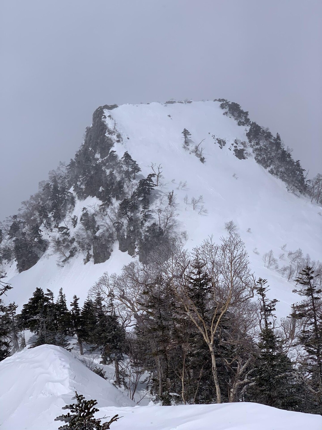 前武尊BC / Okkyさんの武尊山・鹿俣山・尼ヶ禿山の活動データ | YAMAP / ヤマップ