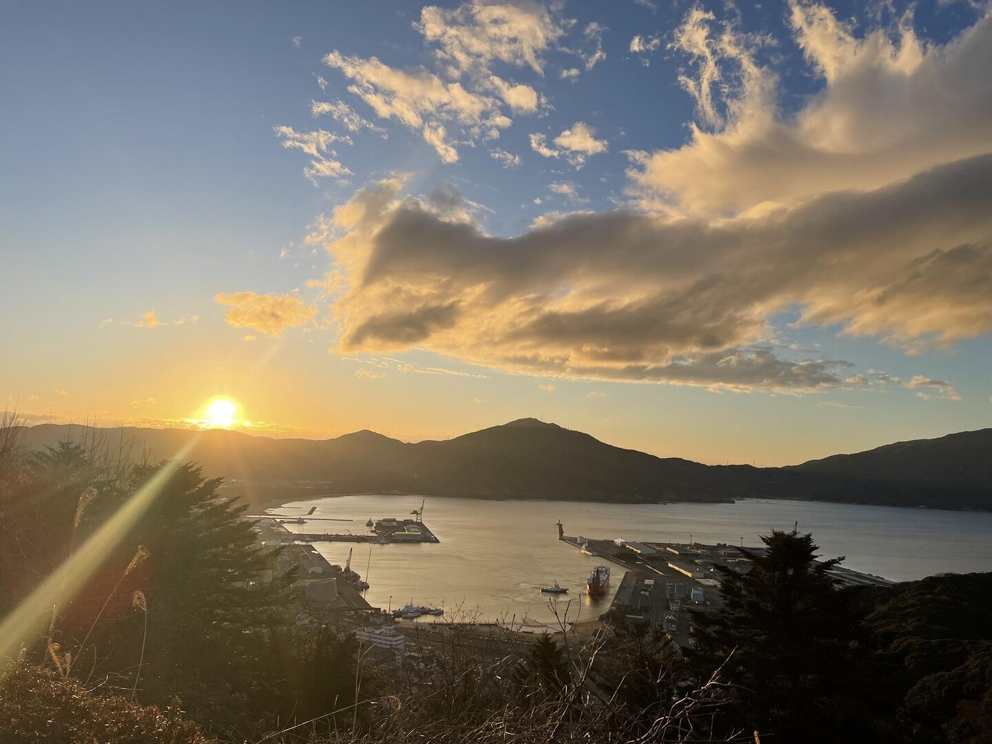 ポカポカ日和 天筒山 / miniさんの天筒山・中池見湿地の活動データ | YAMAP / ヤマップ