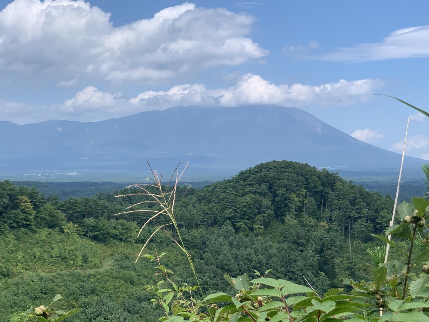 R6.8.24 生森山・石倉森・鉢森山・三角森・勘十郎森・稗糠森 / あおかつさんの烏泊山・七ツ森の活動データ | YAMAP / ヤマップ