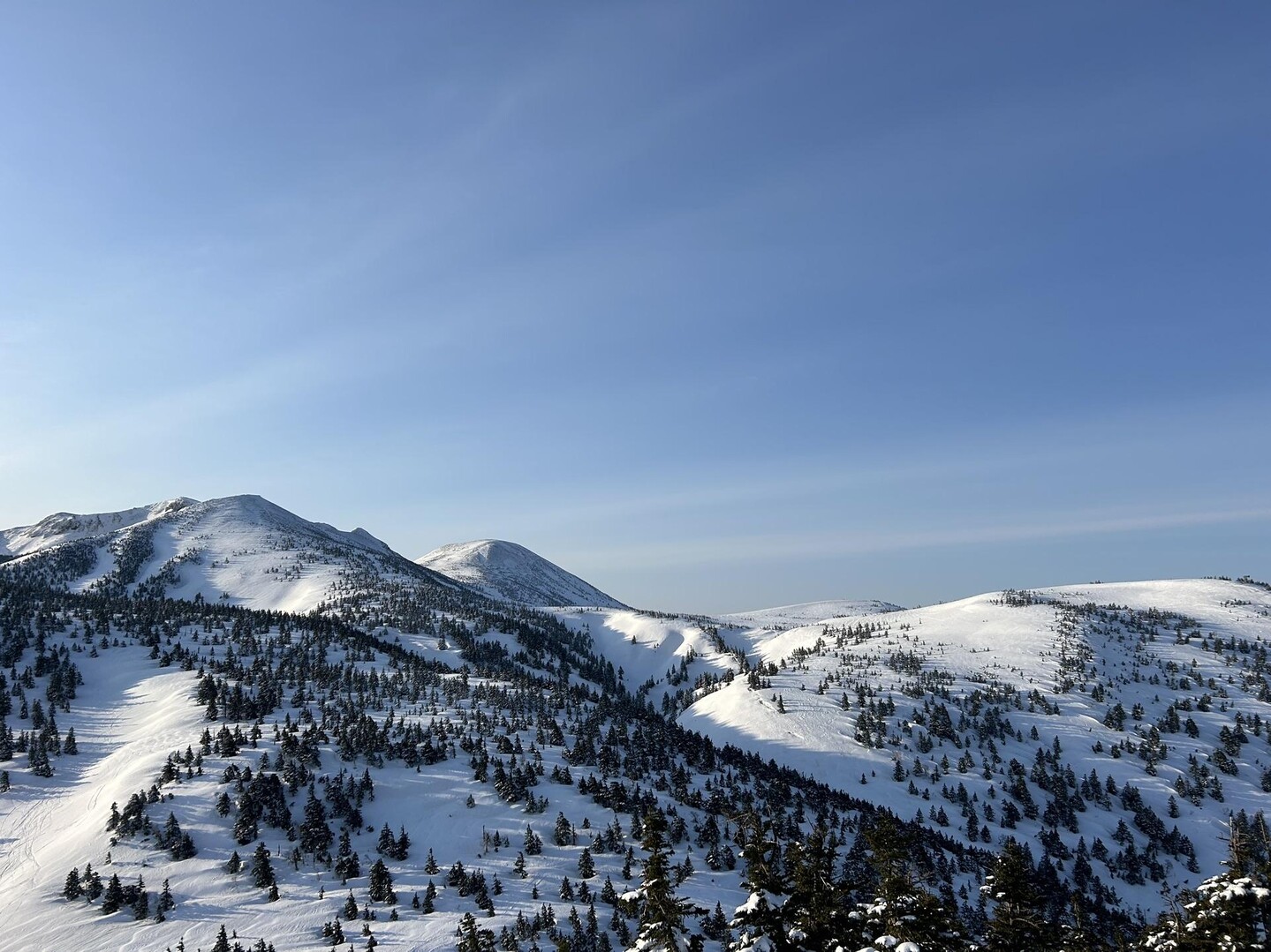 北八甲田BC / Re:ゼロから始まる山生活さんの八甲田山・高田大岳・雛岳の活動データ | YAMAP / ヤマップ