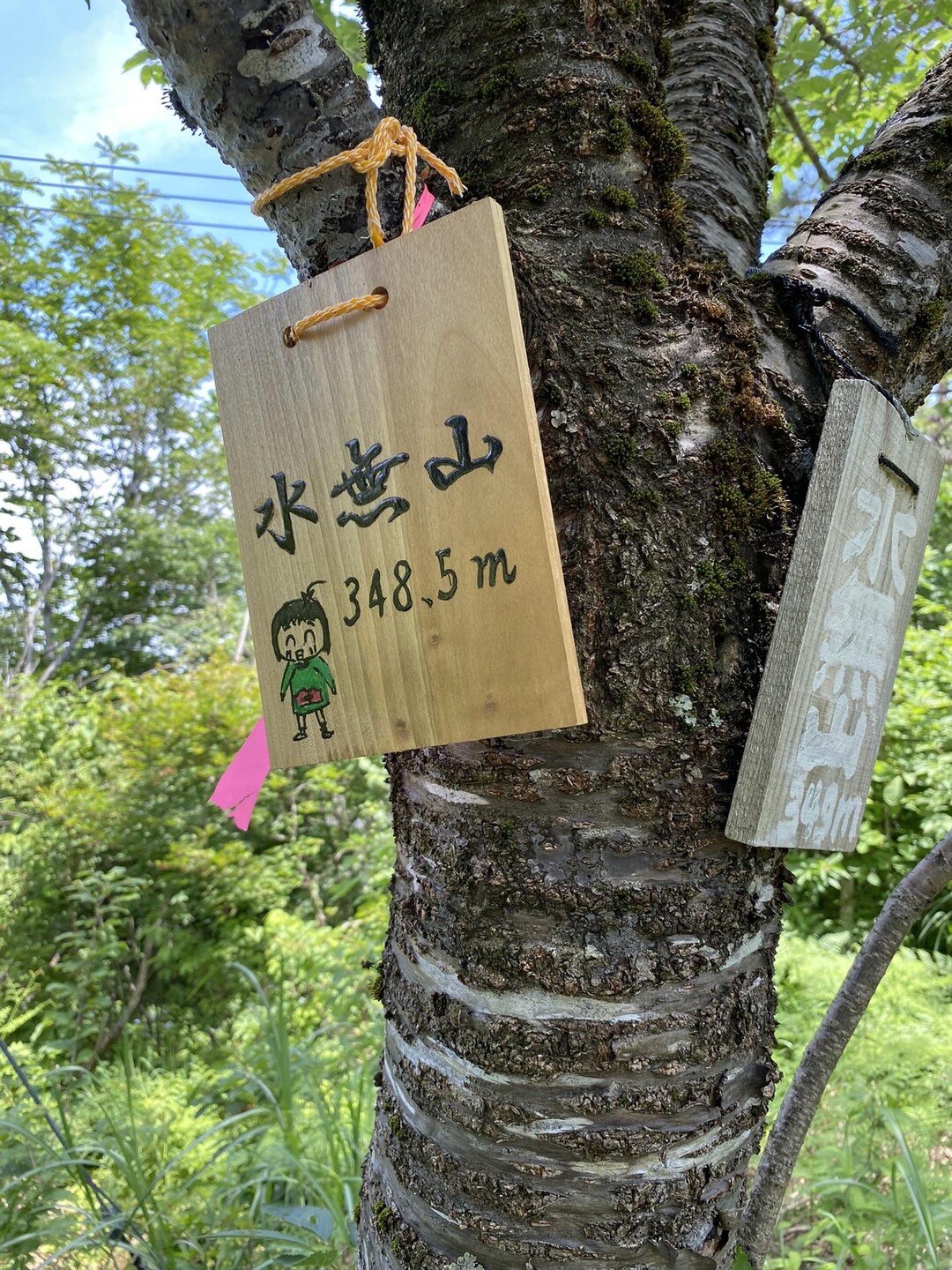 水無山-2023-05-28 / Shigexさんのウォーキングの活動データ | YAMAP / ヤマップ