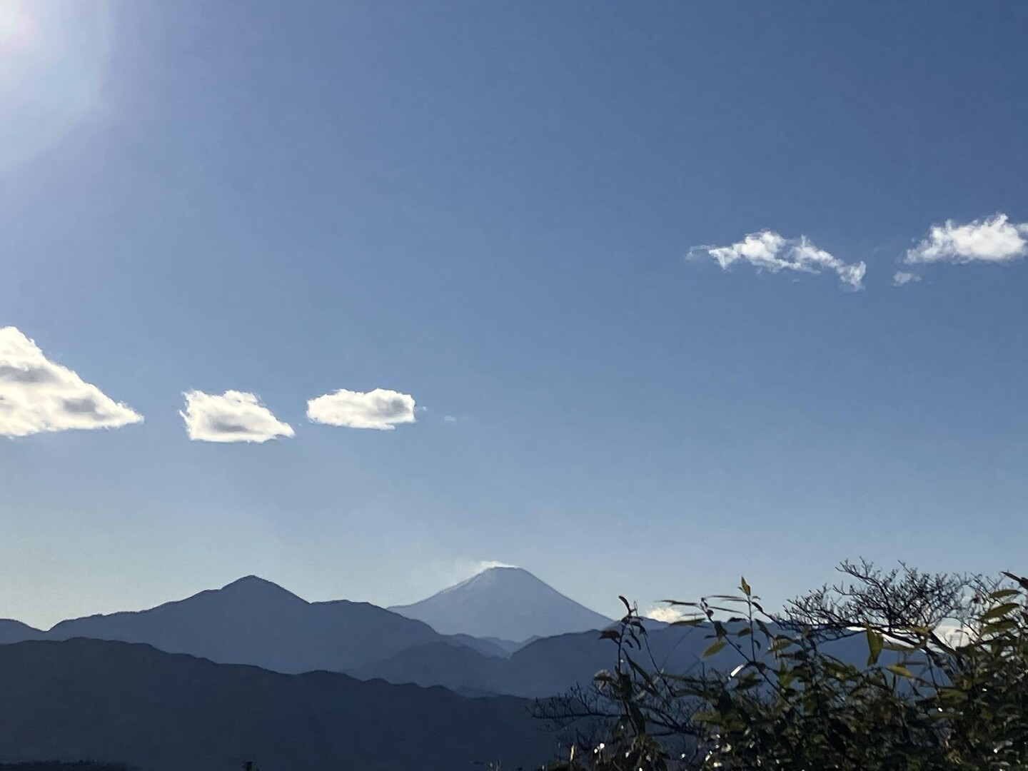 【2024-48】神変山・高尾山（東京都、599m） / Kazukiさんの高尾山・陣馬山・景信山の活動データ | YAMAP / ヤマップ
