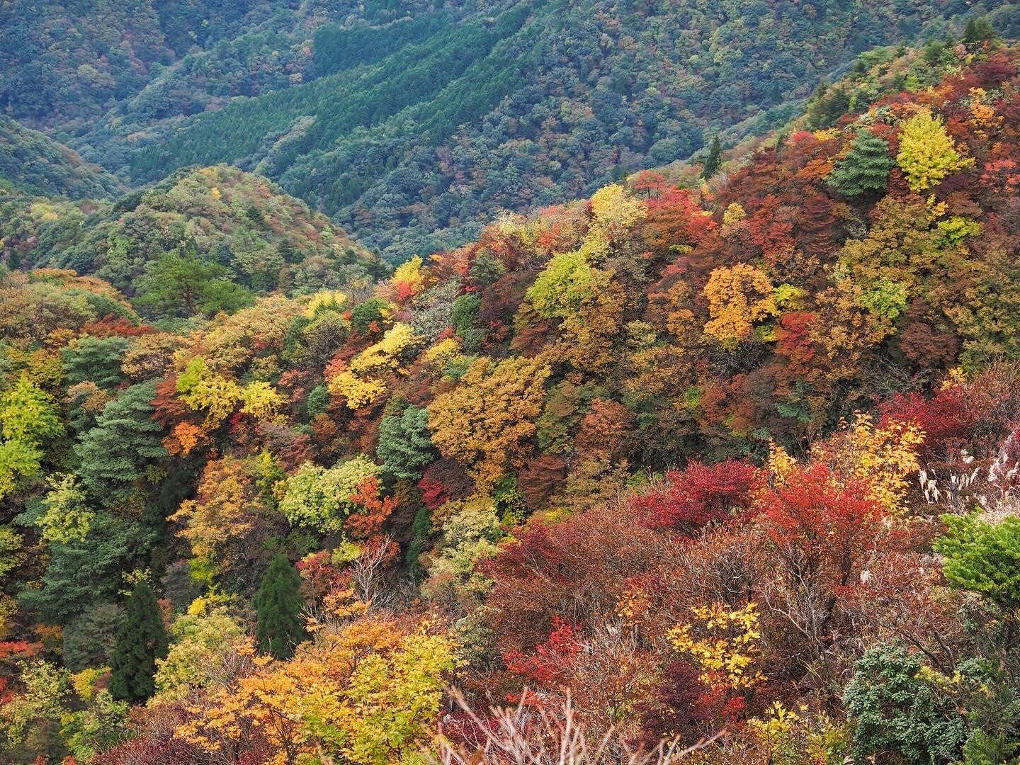 鎌ヶ岳 / おおやまちゃんさんの御在所岳（御在所山）・雨乞岳の活動日記 | YAMAP / ヤマップ