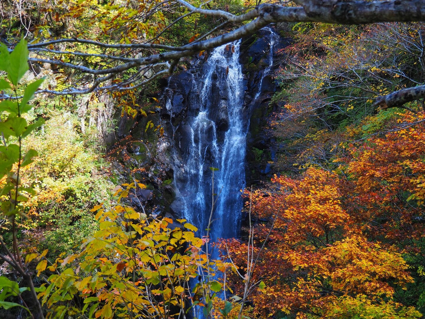 取立山 / かずさんのウォーキングの活動日記 | YAMAP / ヤマップ