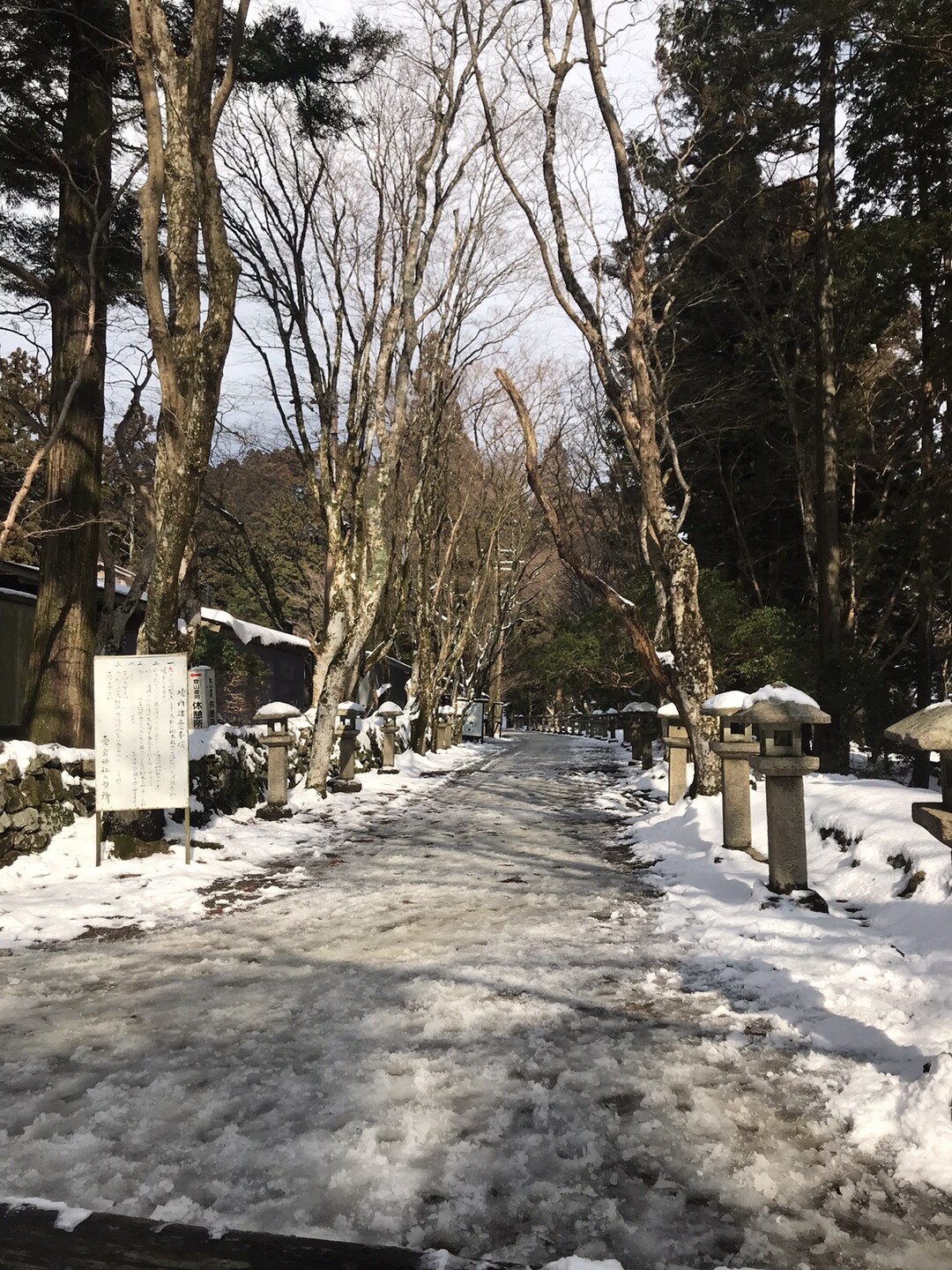 年末恒例☆愛宕山 / giorgioさんの愛宕山・三頭山・朝日峯の活動データ | YAMAP / ヤマップ
